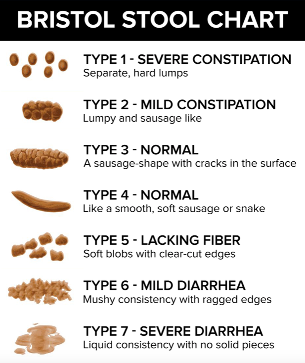 Good Poop, Good Health! - ChiroPlus Wellness Care in Aurora, CO